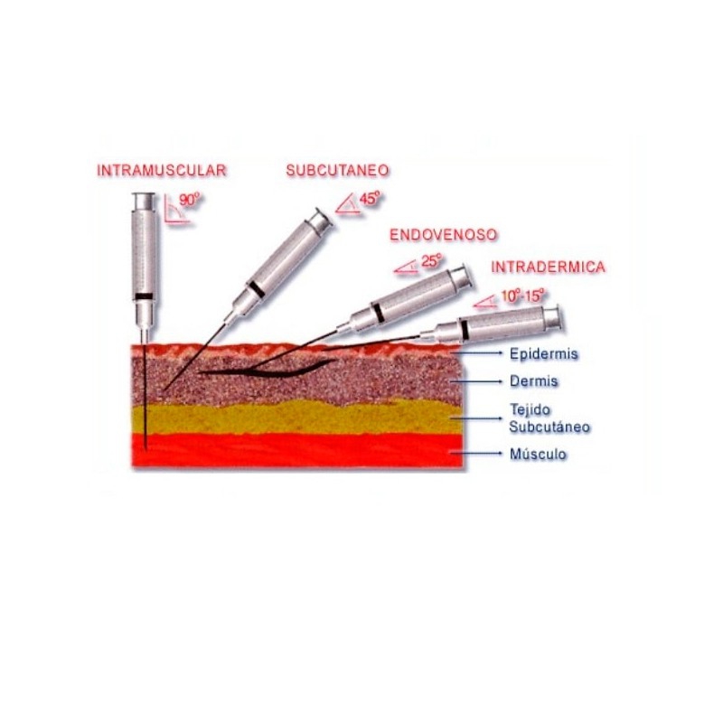 Bd triple bevel hypodermic needles (box of 100) - Fisaude Store