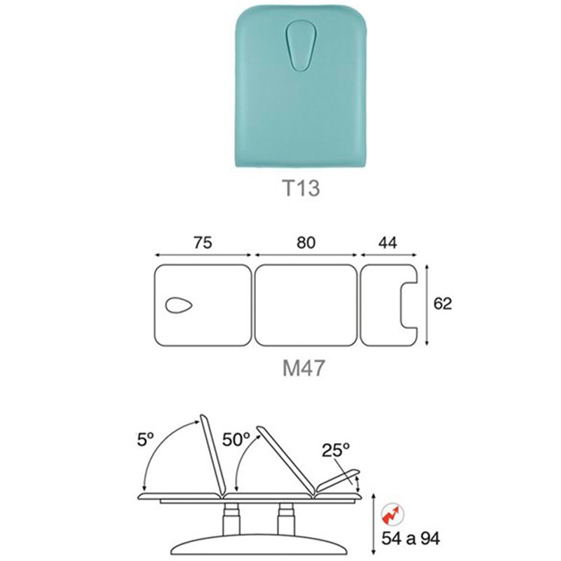 Ecopostural electric stretcher: specialized in gynecology and ...